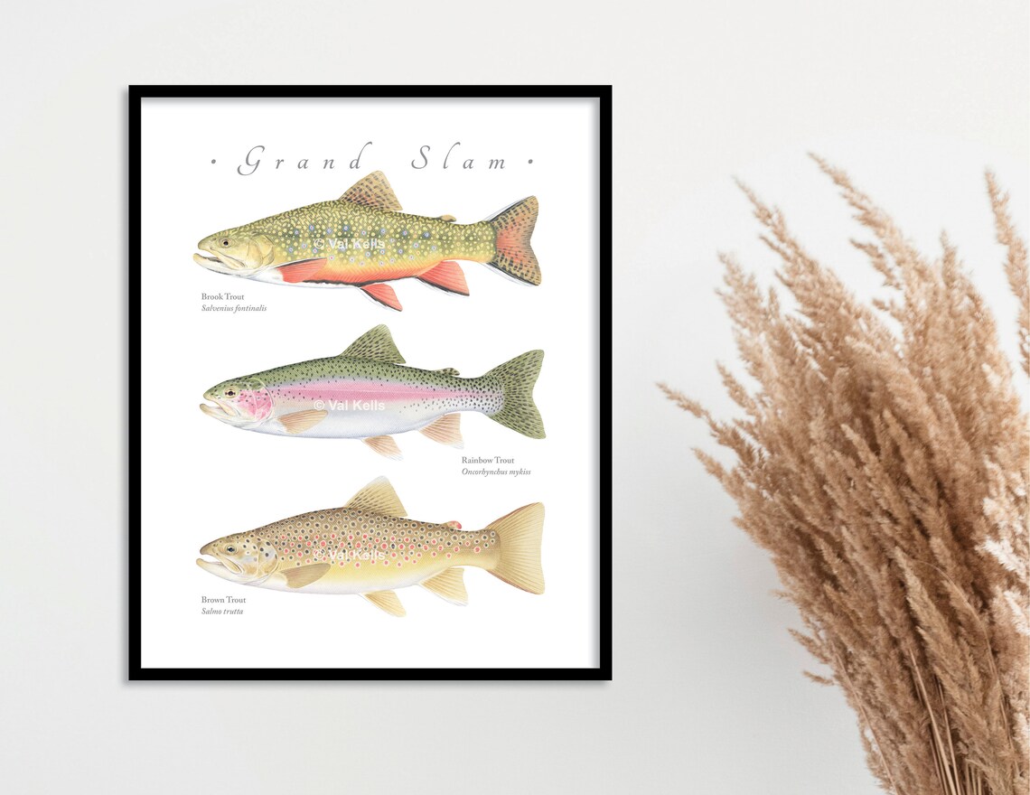 Brook Rainbow and Brown Trout Grand Slam Giclee Print Brook | Etsy