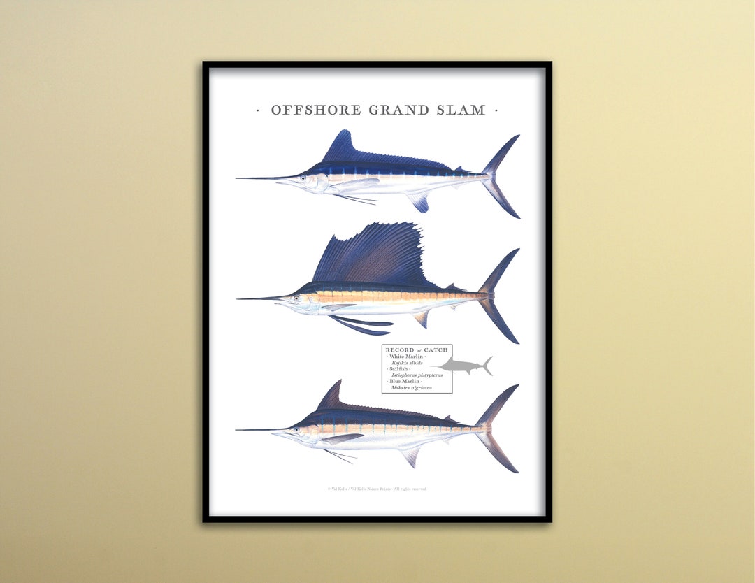 18x24 Offshore IGFA Billfish Grand Slam Poster; White Marlin, Sailfish ...