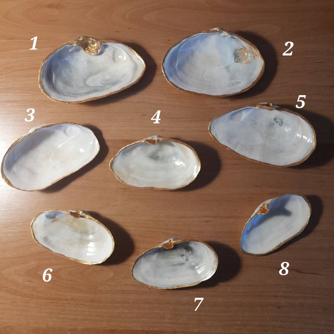 North Sea Shell Mixing Palette With Golden Rim - Etsy