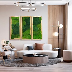 Tryptic Moss Wall Art Framed Set of 3 Real Preserved Moss - Etsy