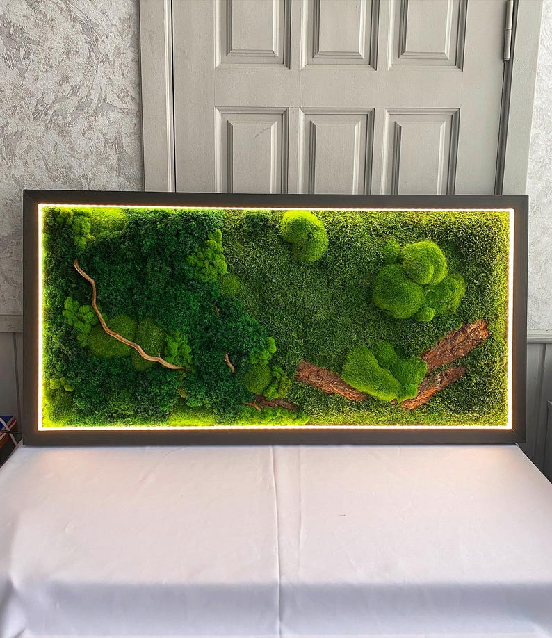 Illuminated Preserved Moss Wall Art With LED Lighting, Eco-friendly ...