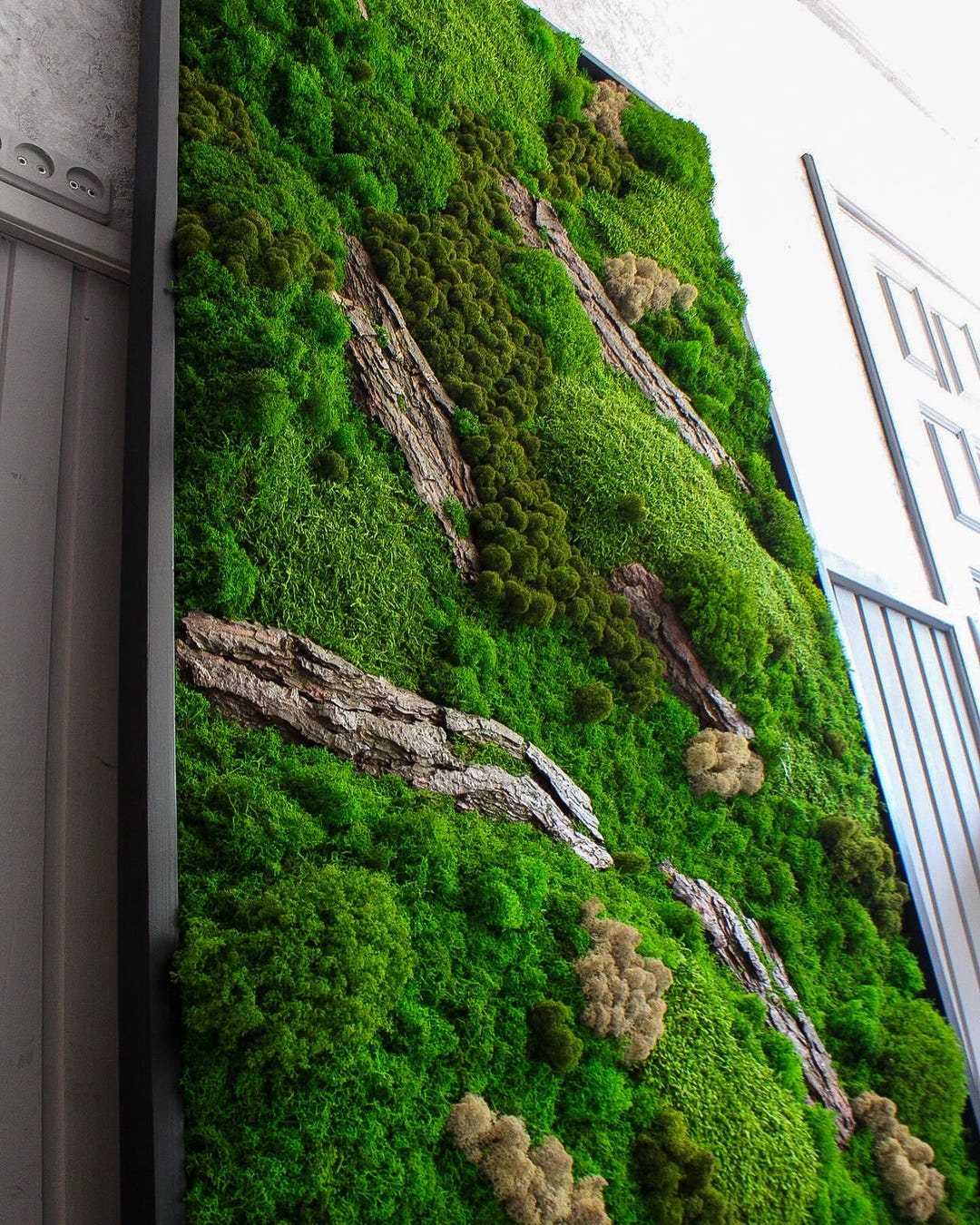 Forest Blend: Preserved Moss & Bark Wall Art | Earthy Botanical Decor ...