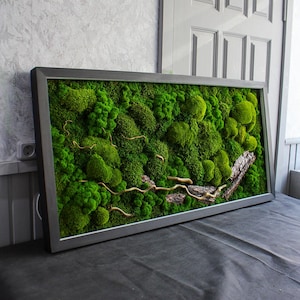 Illuminated Preserved Moss Wall Art With LED Lighting, Eco-friendly ...