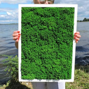 Preserved Royal Moss Wall Art Reindeer Moss Painting - Etsy