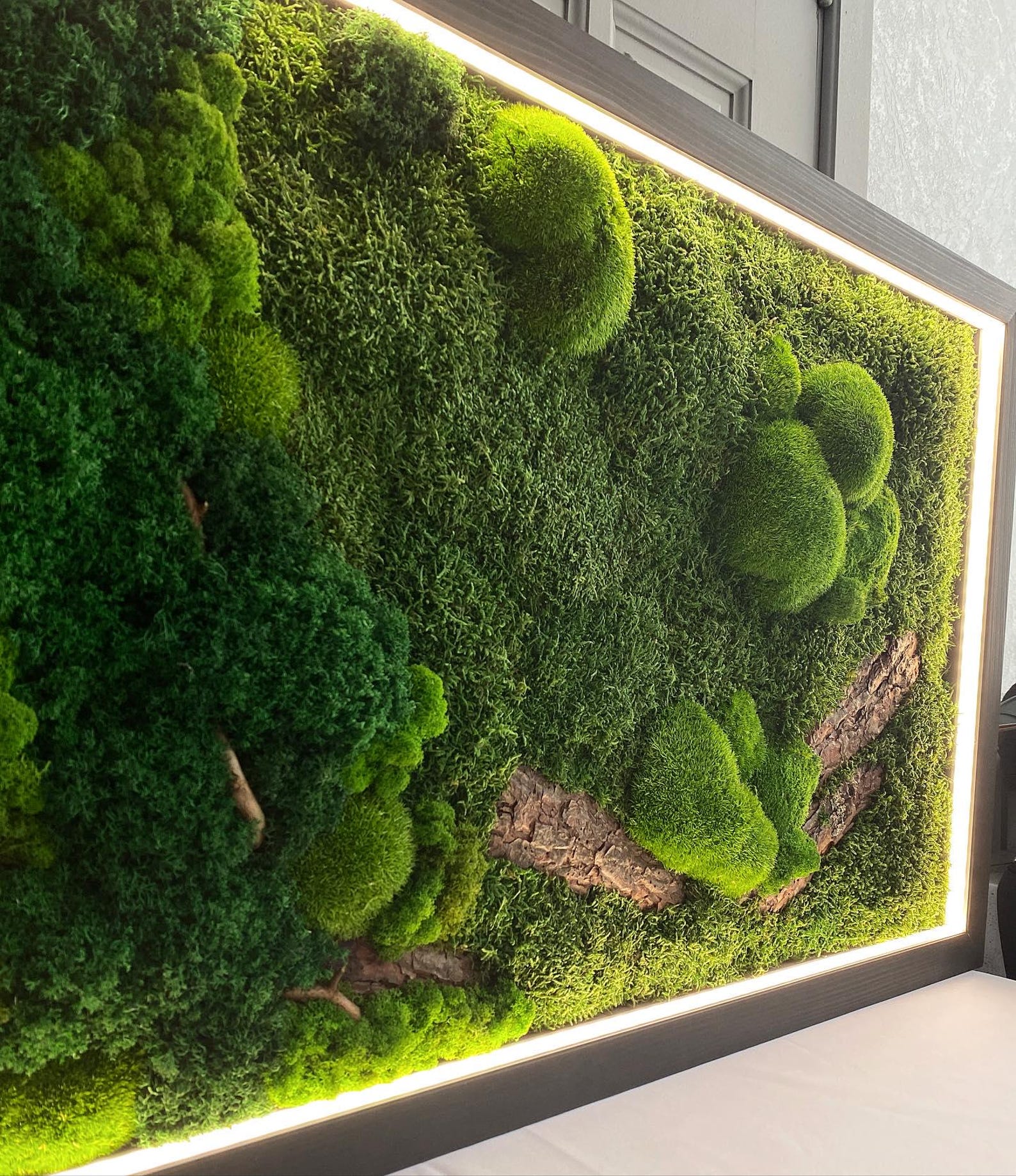 Illuminated Preserved Moss Wall Art With LED Lighting, Eco-friendly ...
