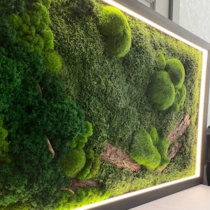 Illuminated Preserved Moss Wall Art With LED Lighting, Eco-friendly ...