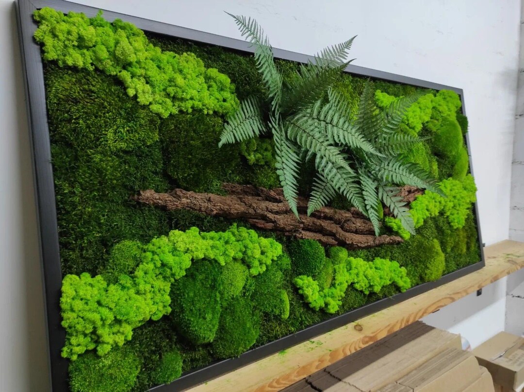 Rustic Elegance Preserved Moss Wall Art, Bark, Ferns | Eco-friendly ...