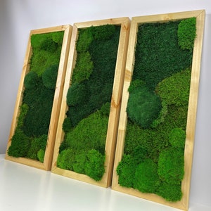 Tryptic Moss Wall Art Framed Set of 3 Real Preserved Moss - Etsy