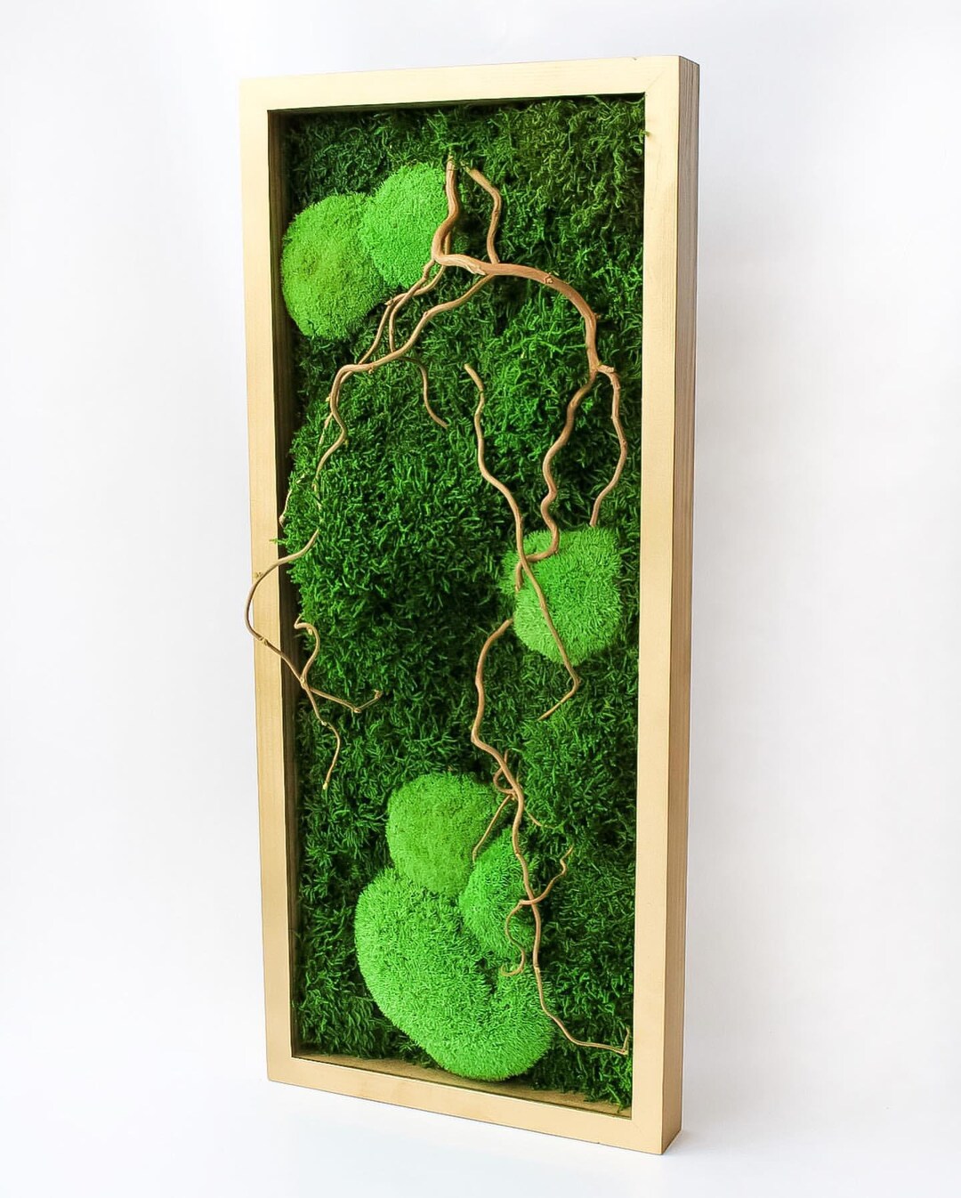 Zen Moss & Matsudana Willow Branch Wall Art | Preserved Moss Decor for ...