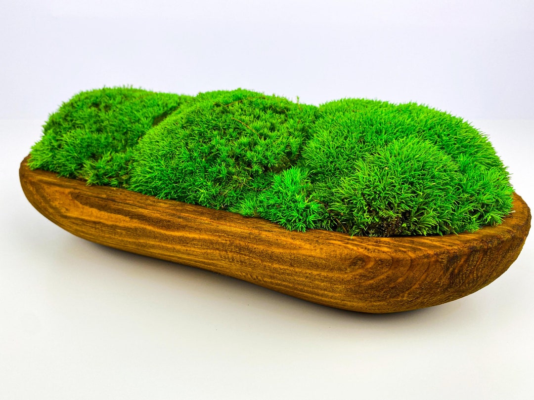 Rustic Moss Centerpiece Bowl | Hand-carved Preserved Moss Table Decor ...