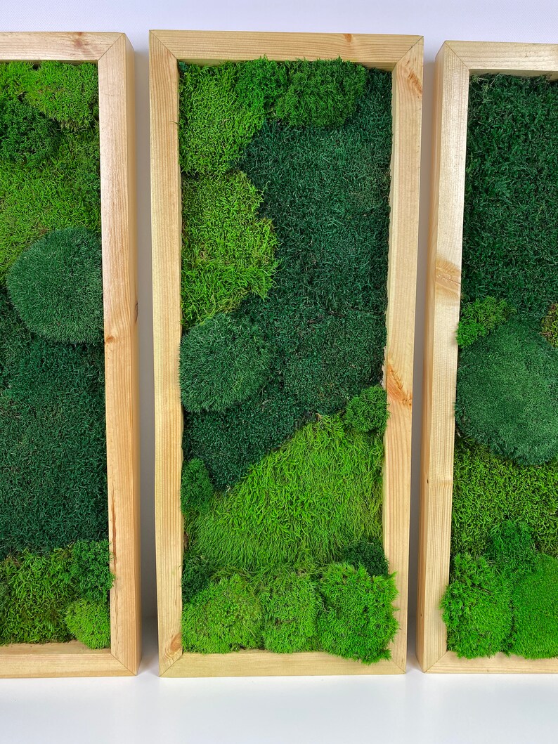 Tryptic Moss Wall Art Framed Set of 3 Real Preserved Moss - Etsy