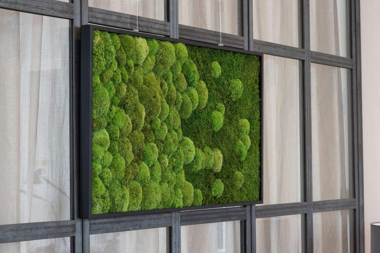 Preserved Moss Art Framed Real Moss Decor Living Moss Wall - Etsy