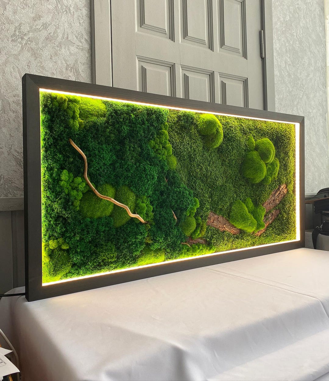 Illuminated Preserved Moss Wall Art With LED Lighting, Eco-friendly ...