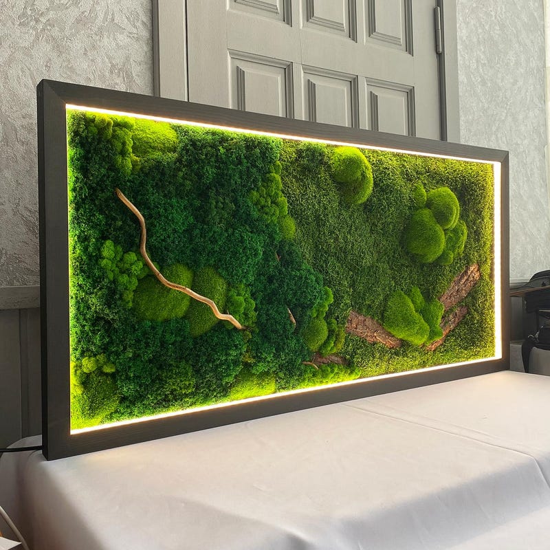 Preserved Moss Wall Art - Etsy
