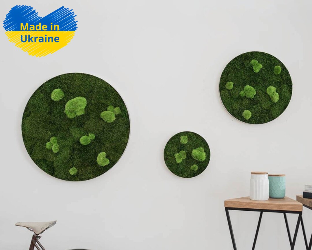 Set of 3 Circle Moss Wall Art, Preserved Moss Wall Hangings Decor, Yoga ...