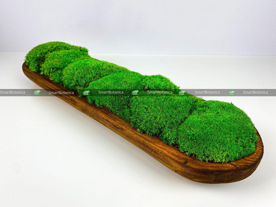 48 Moss Centerpiece, Farmhouse Table Centerpiece, Rustic Table Decor ...