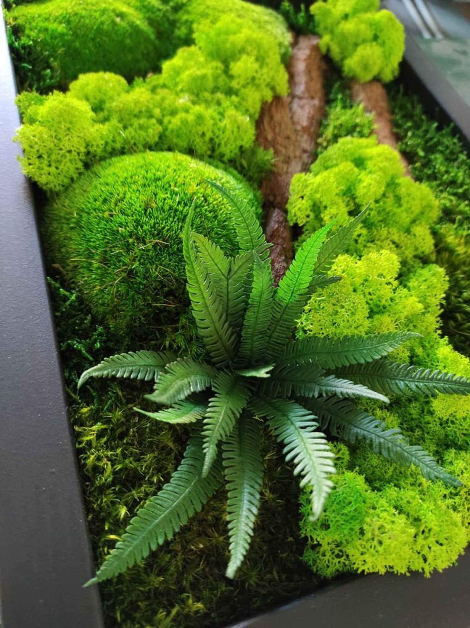 Rustic Elegance Preserved Moss Wall Art, Bark, Ferns | Eco-friendly ...