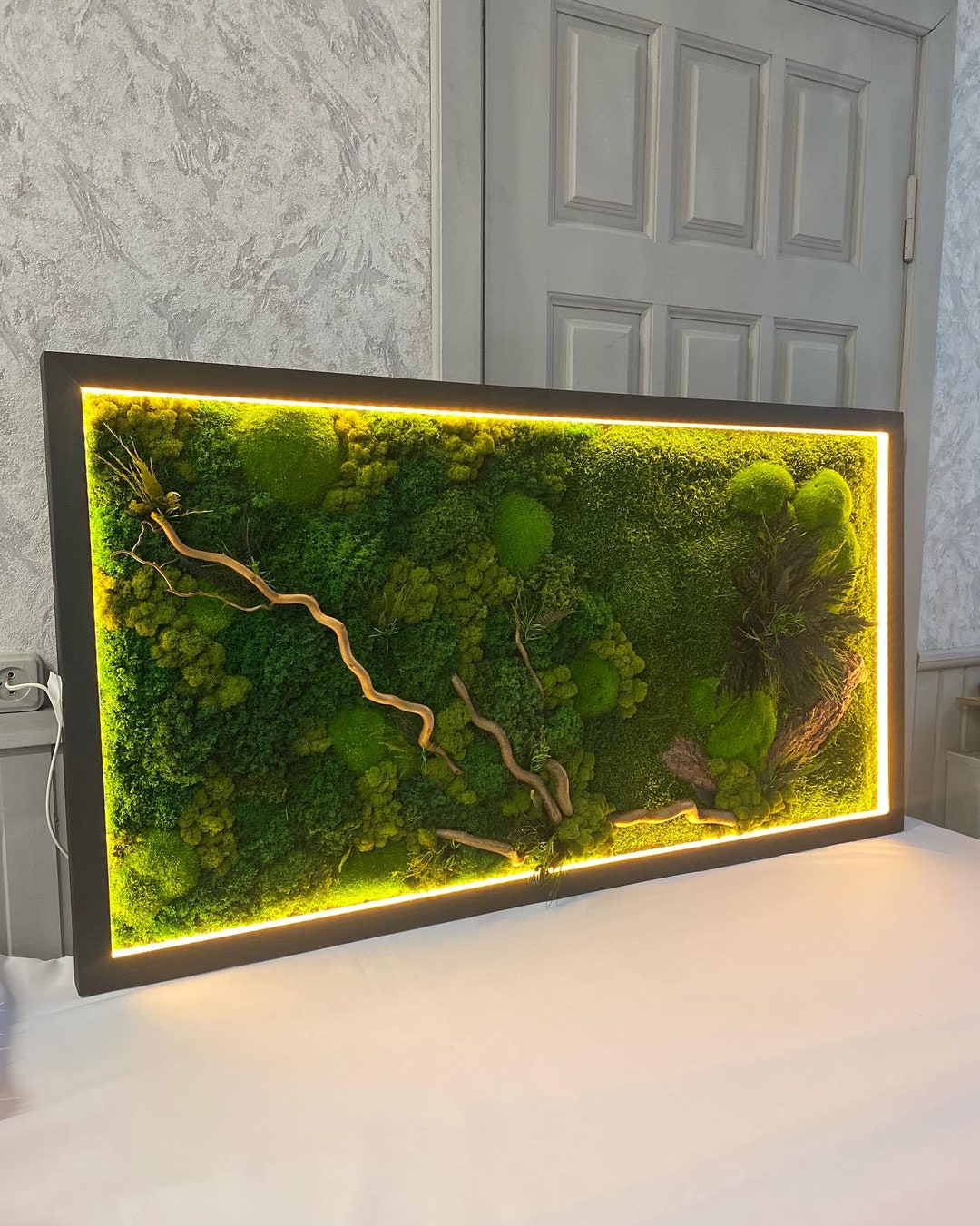 Warme LED-beleuchtete erhaltene Moos Wandkunst Farnblätter, Rinde ...