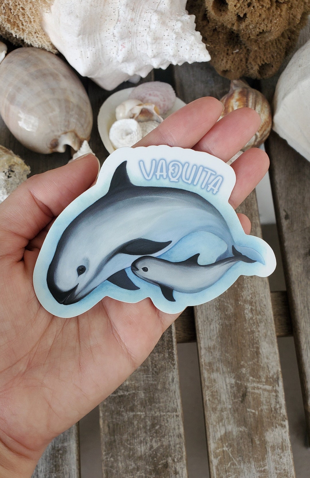 Vaquita, Porpoise, Dolphin, Die-cut Sticker, Ocean Art, Marine Mammals ...