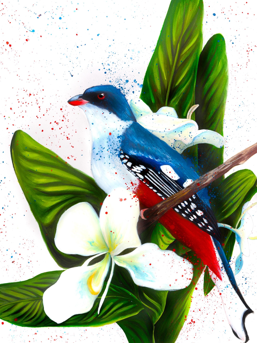 Cuban Trogon, Tocororo, Ginger Lily, White Mariposa, Bird of Cuba ...