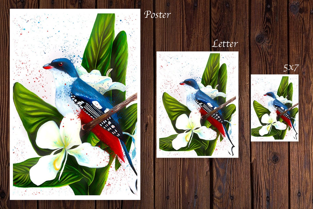 Cuban Trogon, Tocororo, Ginger Lily, White Mariposa, Bird of Cuba ...