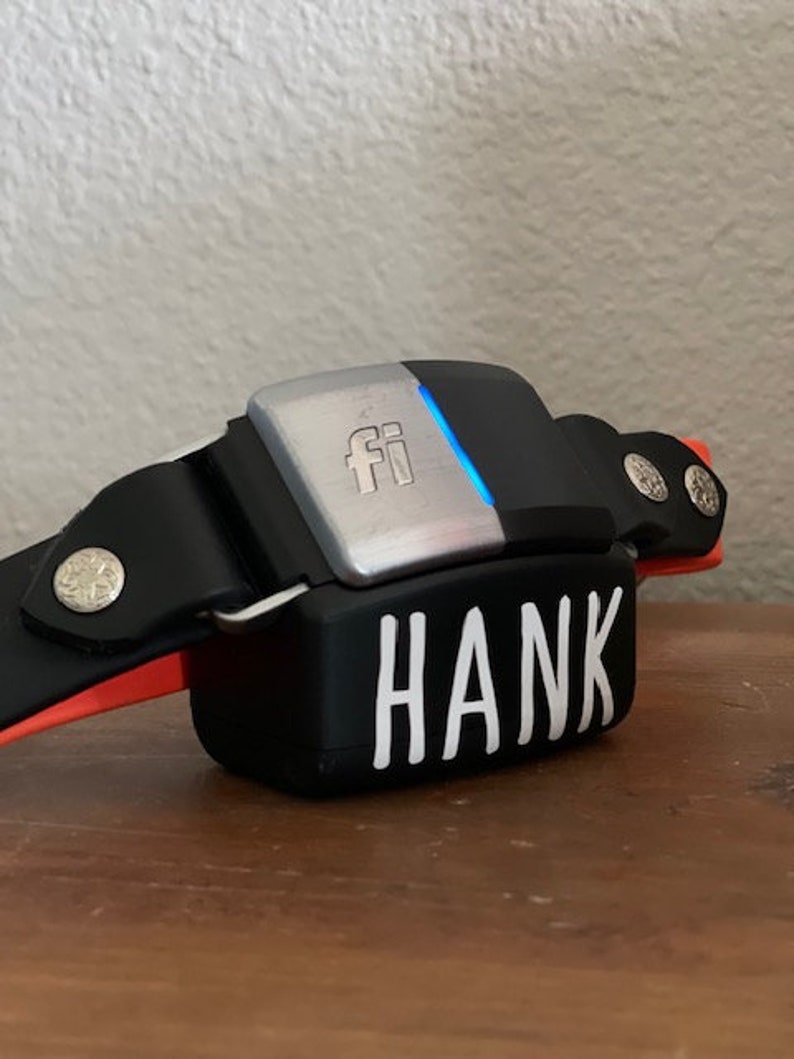 Fi Series 2 Collar Base Name Label - Etsy