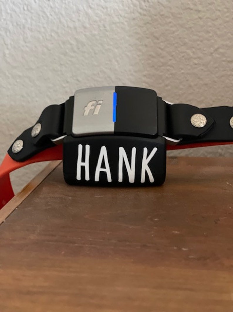 Fi Series 2 Collar Base Name Label - Etsy