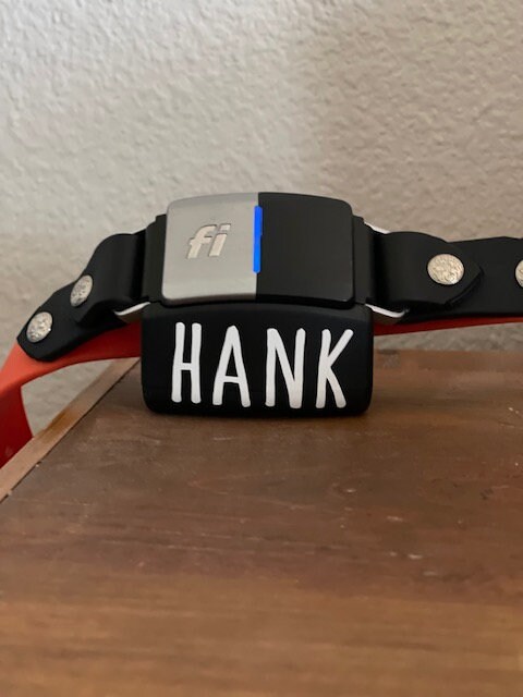 Fi Series 2 Collar Base Name Label - Etsy