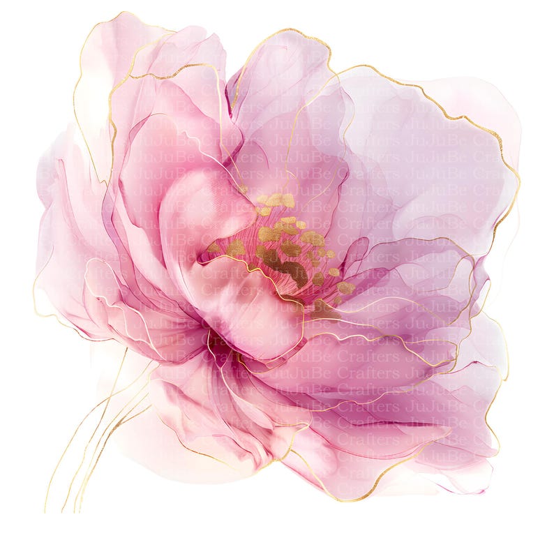 6 Abstract Pink Flowers Clipart, Watercolor, Floral, PNG, Gold Outline ...