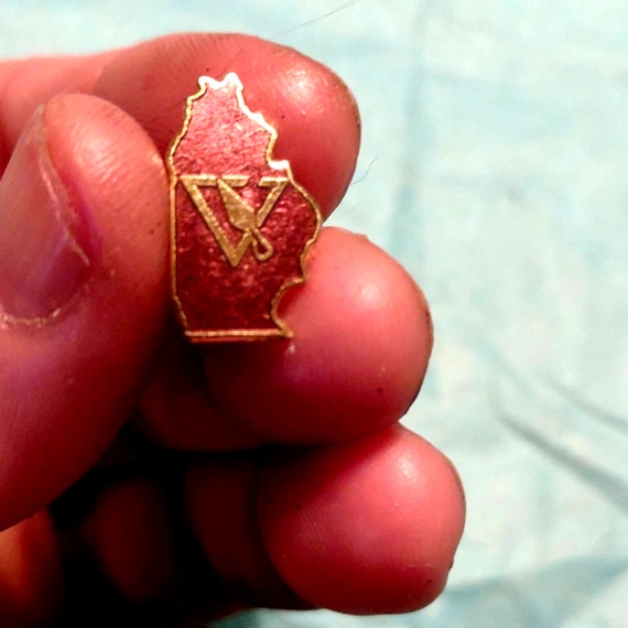 Vintage State of Virginia Pin | Etsy