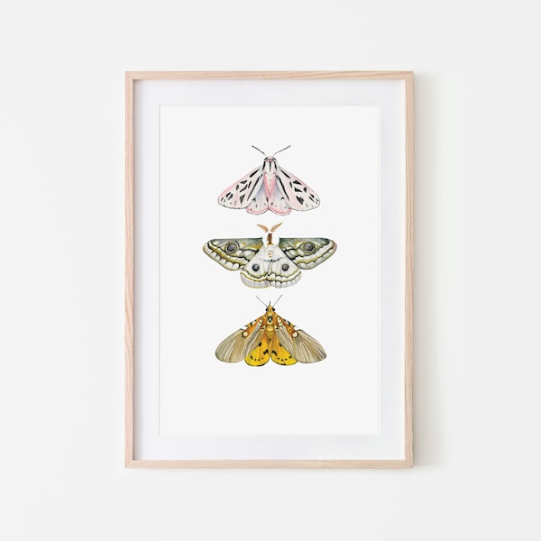 Moth Print - Etsy