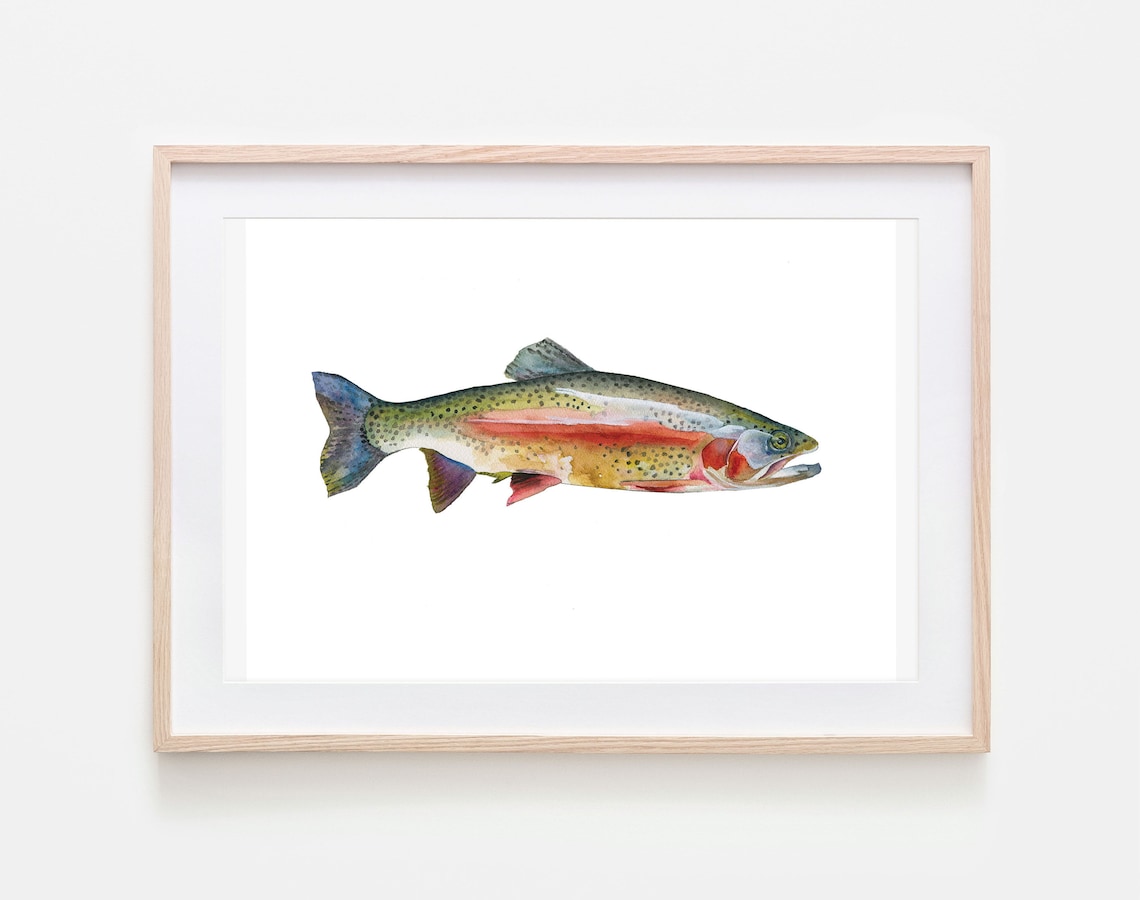 Rainbow Trout Print Rainbow Trout Art Print Trout Art Fly - Etsy