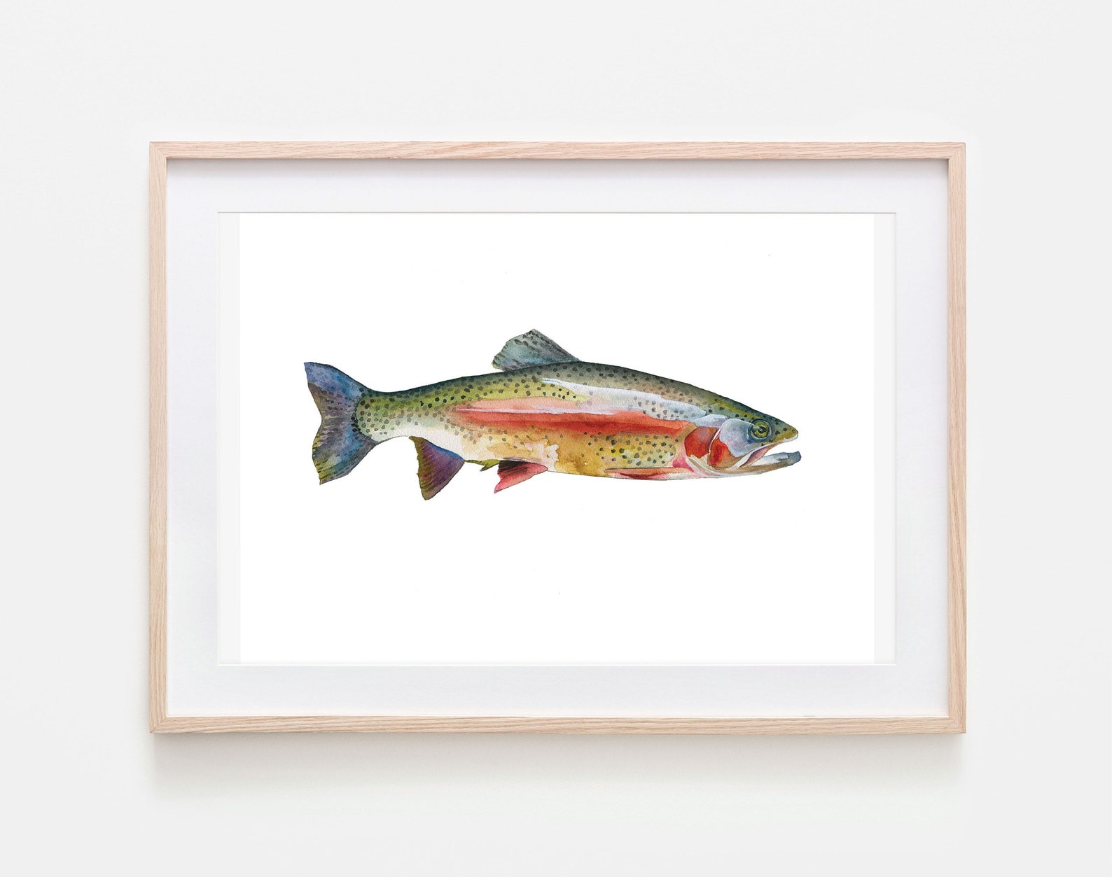 Rainbow Trout Print Rainbow Trout Art Print Trout Art Fly - Etsy