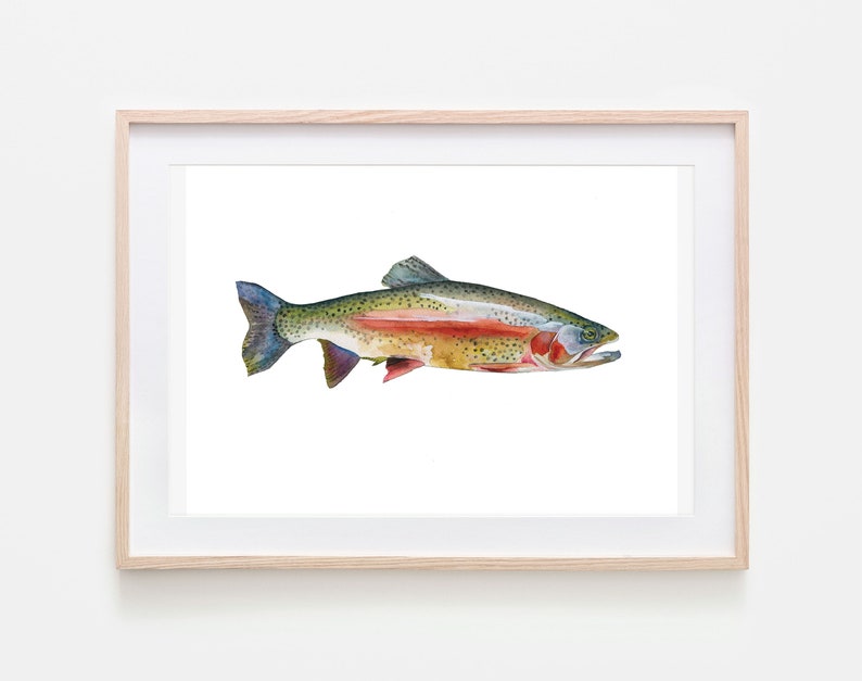 Rainbow Trout Print Rainbow Trout Art Print Trout Art Fly - Etsy