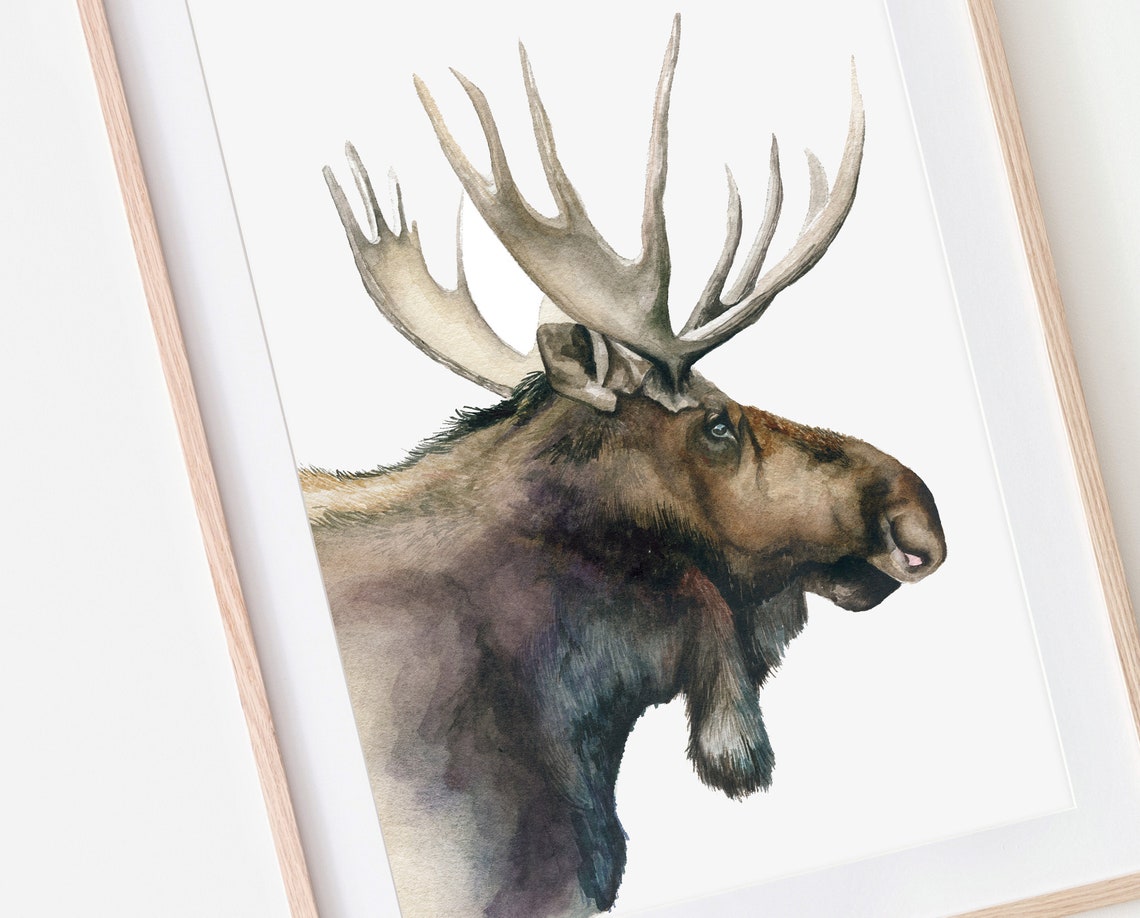 Moose Art Moose Print Woodland Wall Decor Woodland Nursery - Etsy