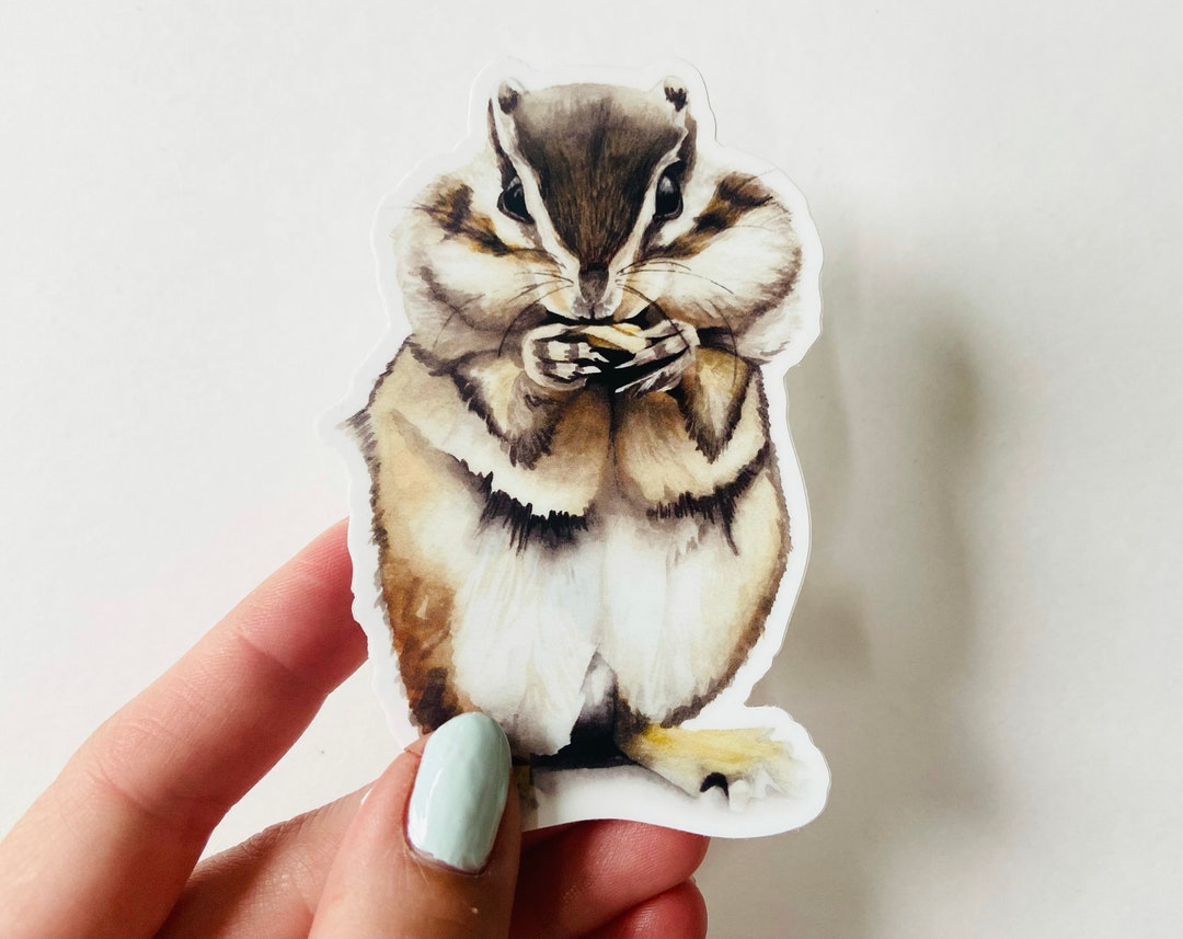 Chipmunk Sticker, Wildlife Sticker, Nature Sticker, Decal for Water ...