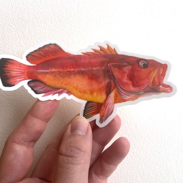 Rockfish - Etsy
