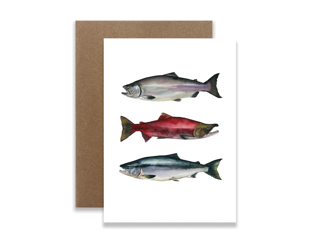 A6 Greeting Card, Alaskan Salmon Card, Fishing Card, Silver Salmon Art ...