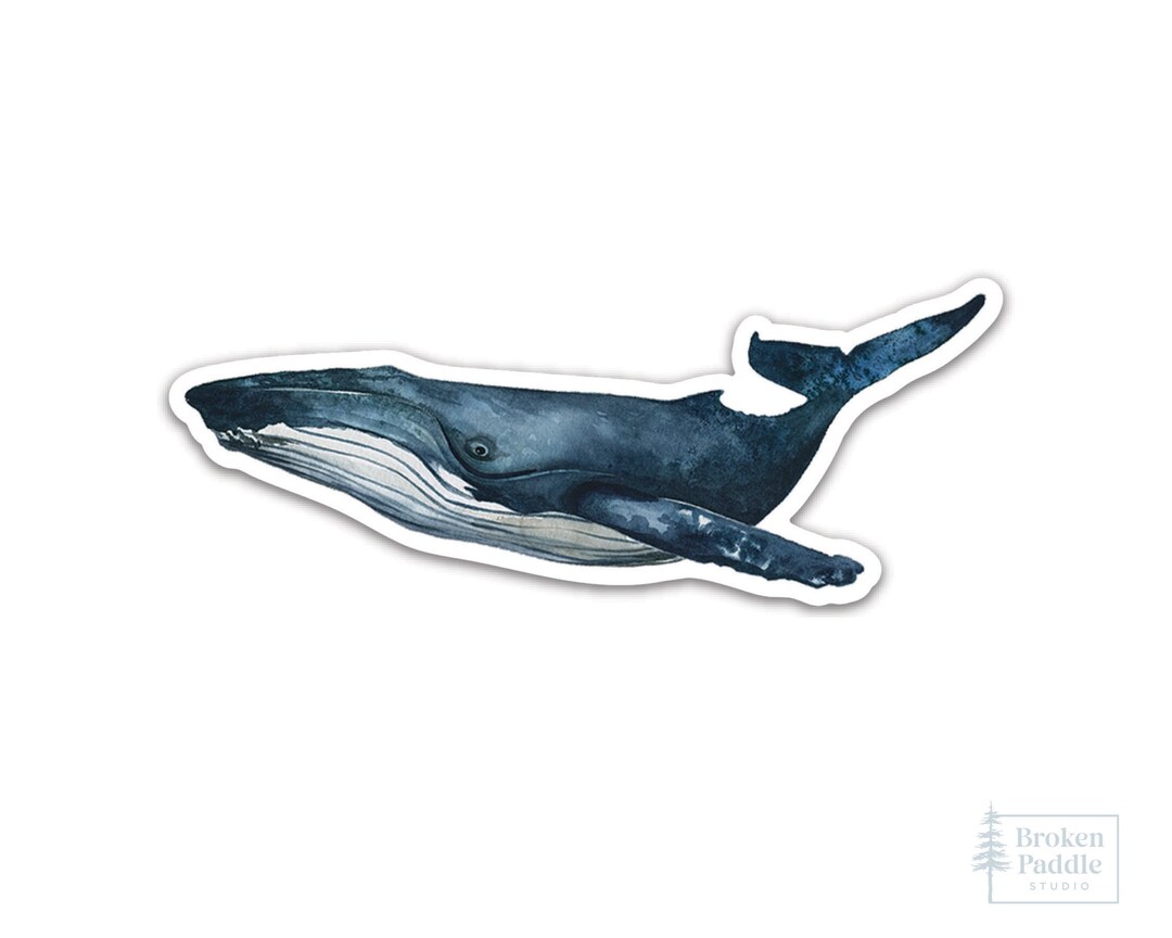Humpback Whale Sticker, Whale Decal, Ocean Stickers, Nautical Sticker ...