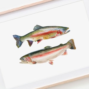 Rainbow Trout Art Print, Fish Wall Art, Gift for Fisherman, Watercolor ...