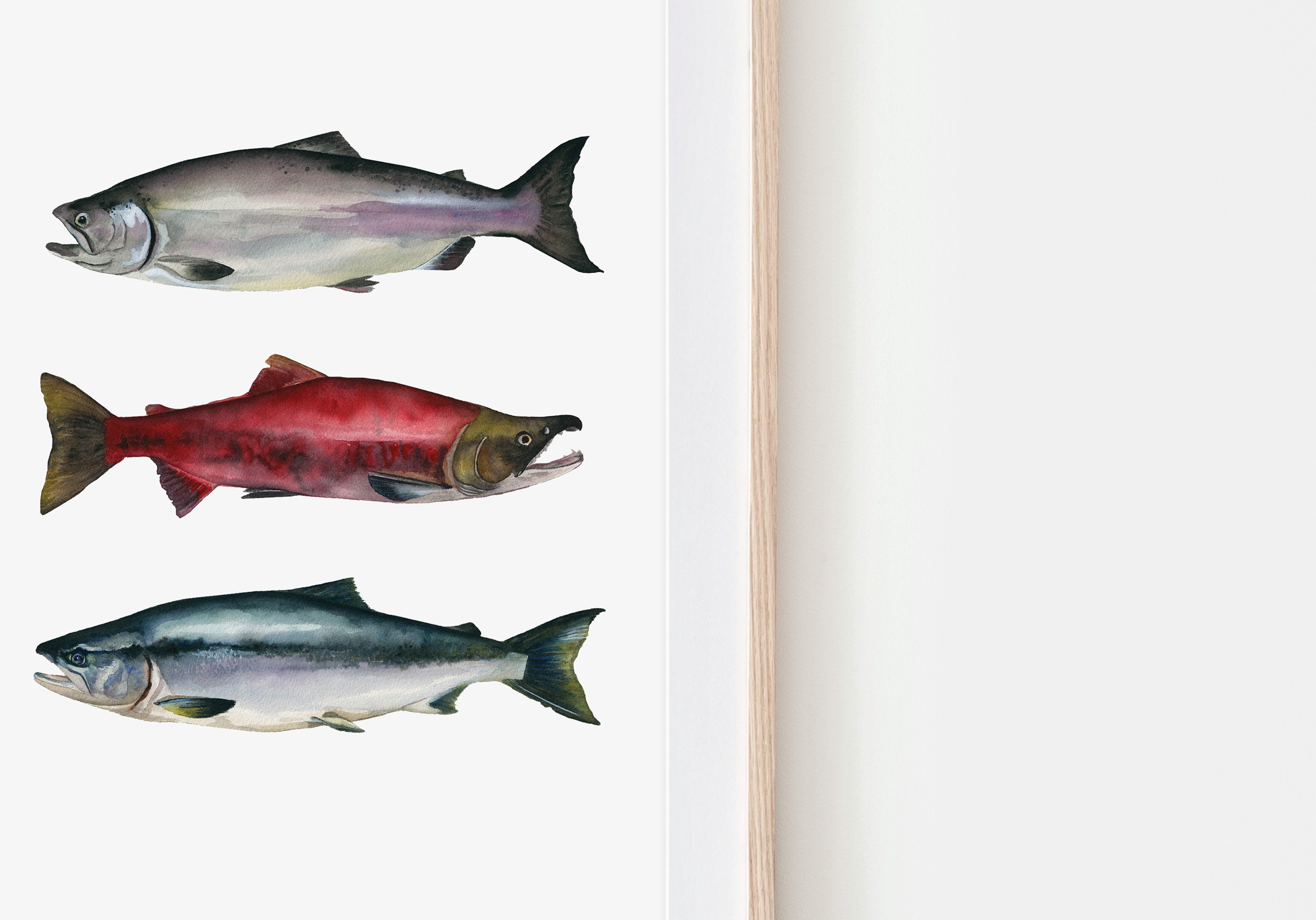Alaskan Salmon Art Watercolor Art Print Fish Art Wall - Etsy