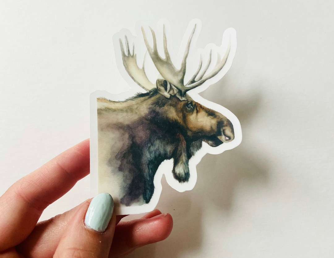 Moose Sticker, Wildlife Sticker, Nature Sticker, Decal for Water Bottle ...