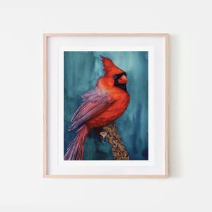 Cardinal Watercolor Painting Art Print: Bird Nature Art - Etsy