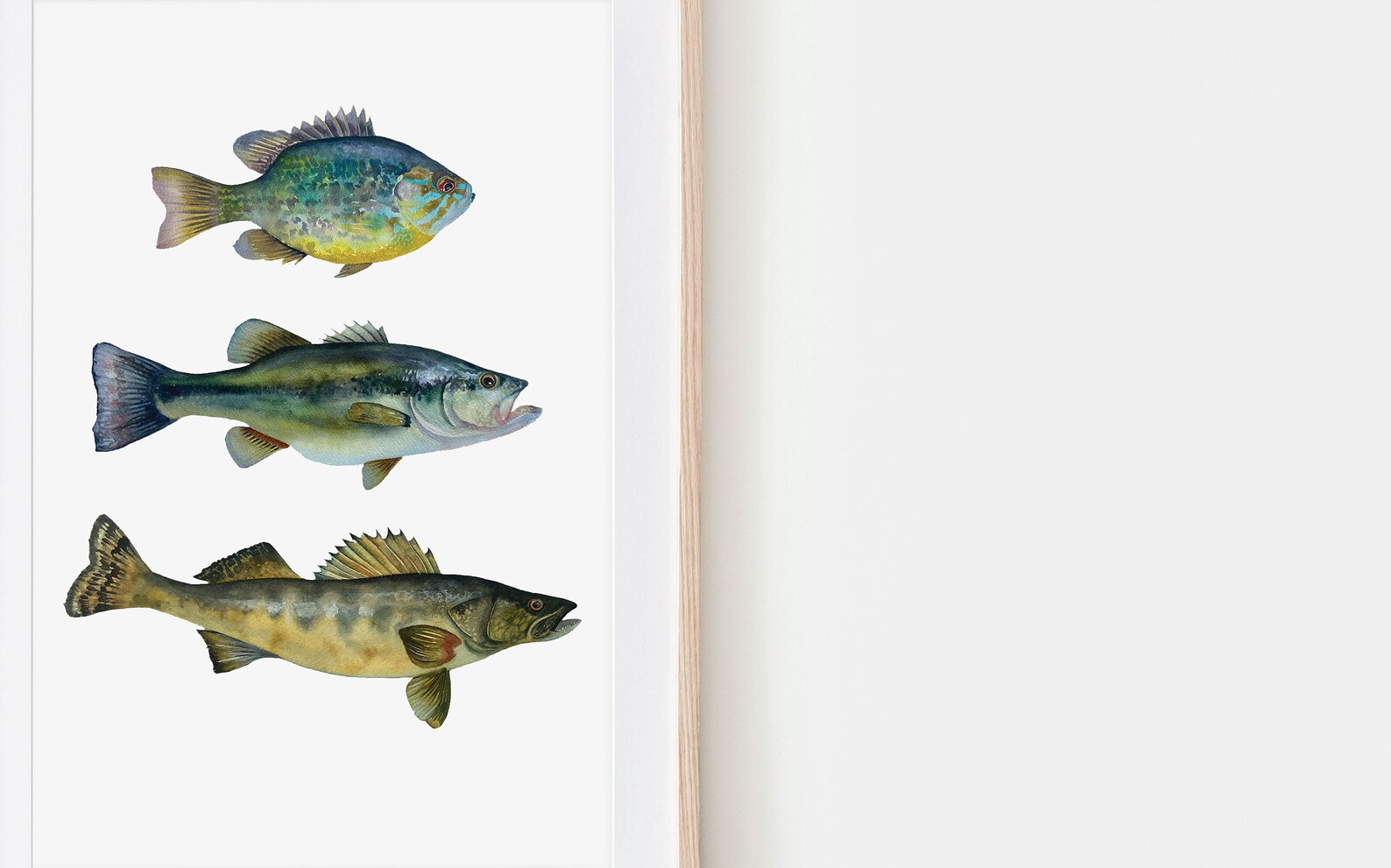 Freshwater Fish Watercolor Art Print: Midwest Lake Cabin Decor - Etsy