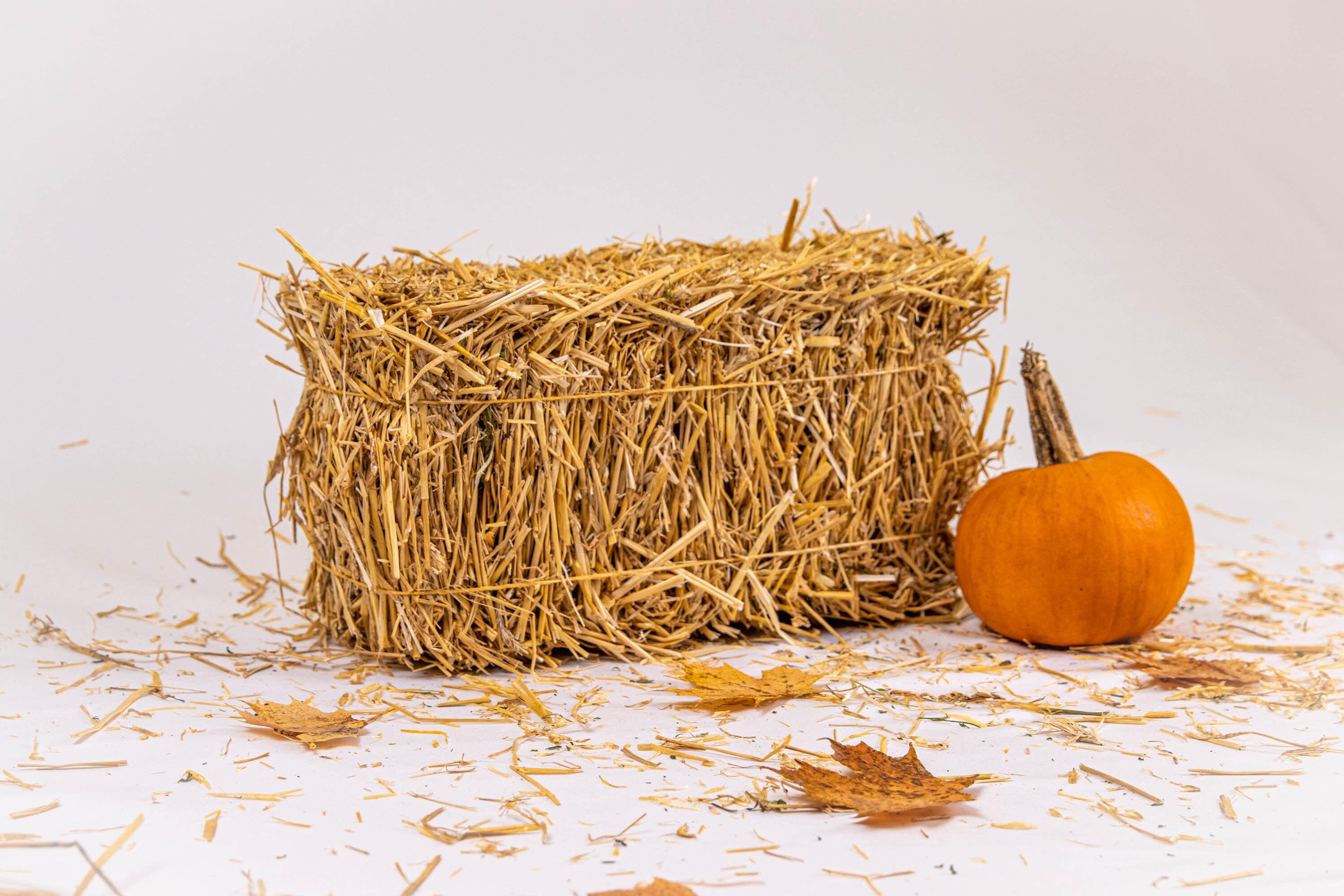 Miniature Straw Bale for Autumn Decorating, Small Straw Bale Fall Party ...