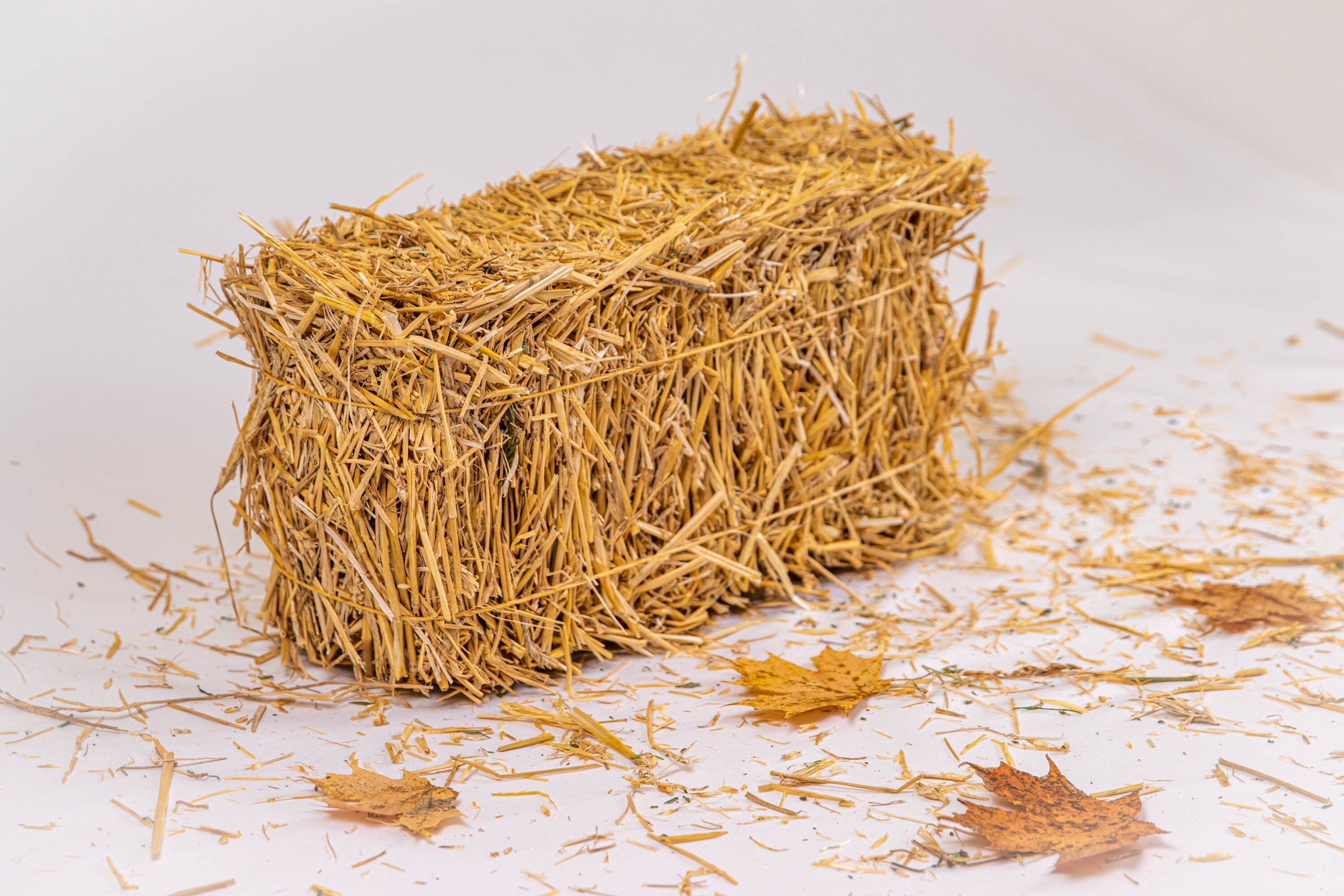 Miniature Straw Bale for Autumn Decorating, Small Straw Bale Fall Party ...