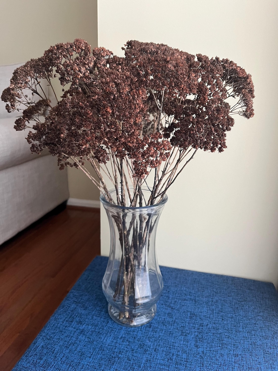 Bouquet of Dried Sedum 14 Stems Ornamental Flowers, Dried Stems, Home ...