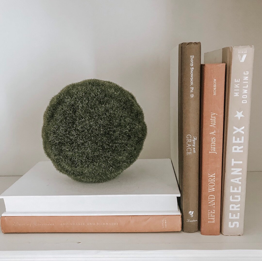 Bundle of Rust/beige/white Decorative Books Books for - Etsy