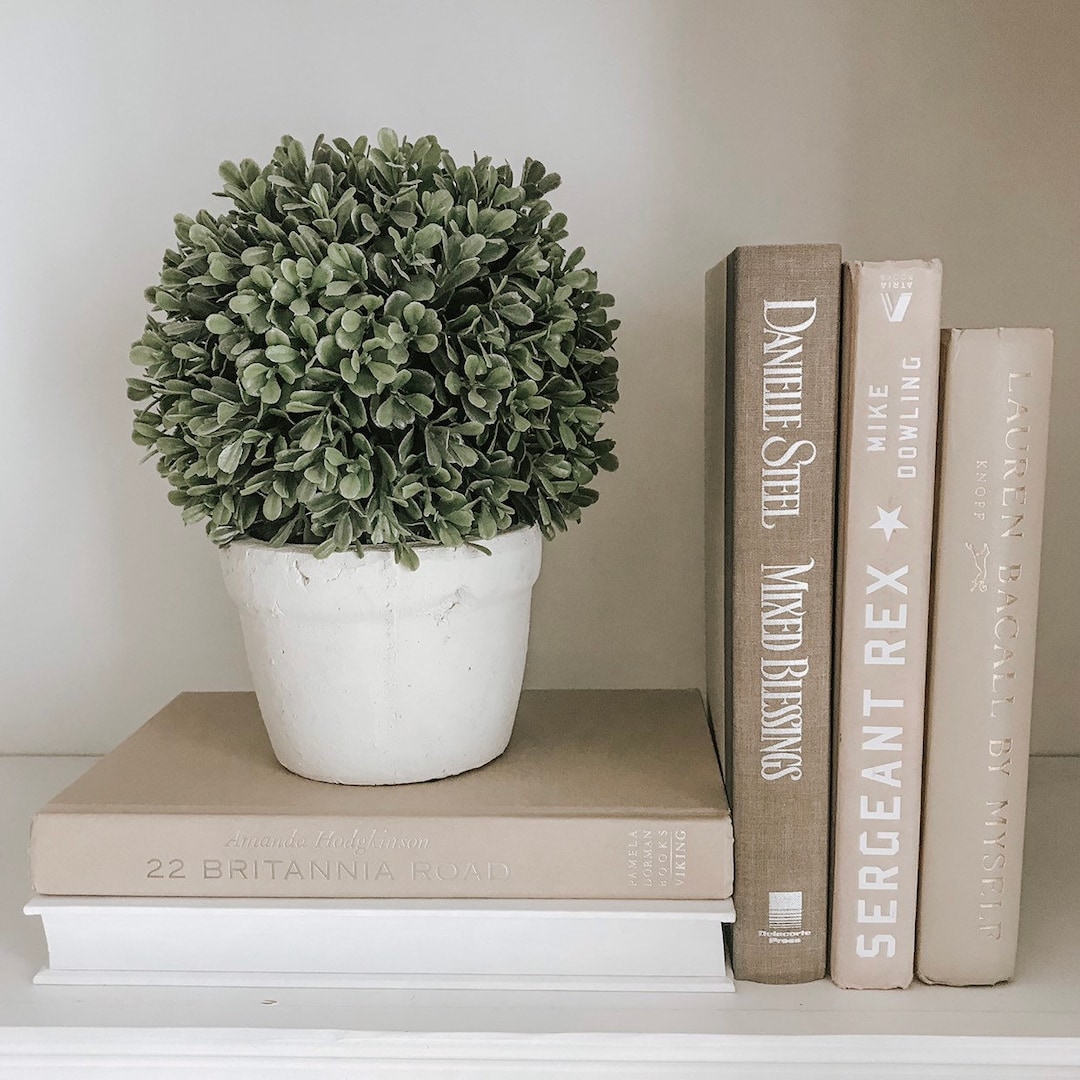 Bundle of Warm Tone Beige and White Decorative Books, Books for Staging ...