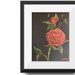 The Secret of Rose. Original Oil Painting of Red Rose - Etsy